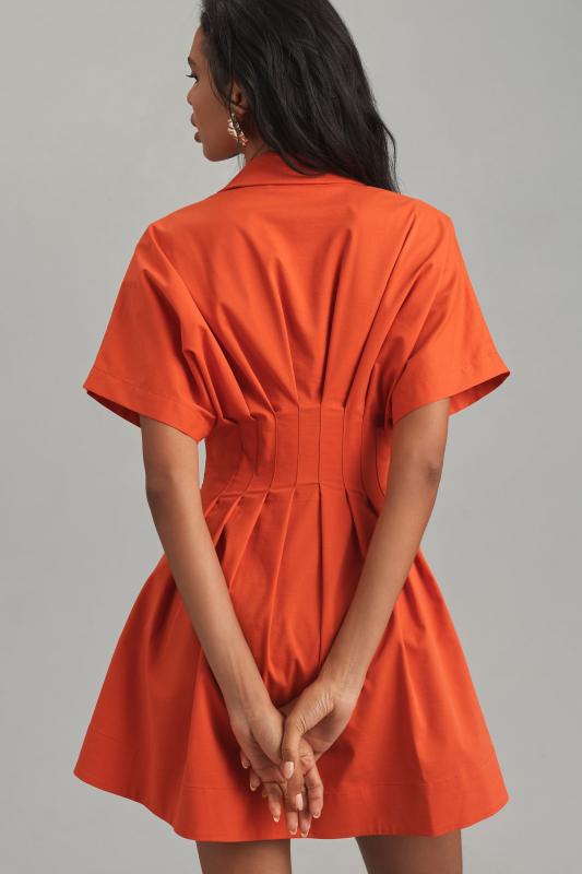 The Tobie Button-Front Pleated Shirt Dress by Exquise: Mini Edition ...