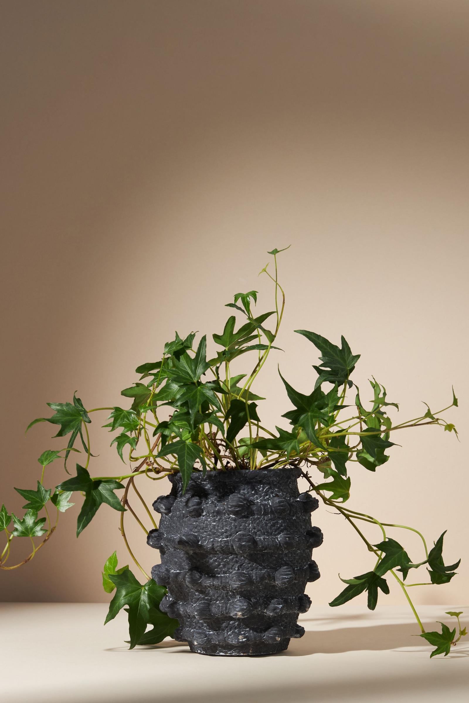 Minka Textured Pot | Anthropologie Japan - Women's Clothing ...