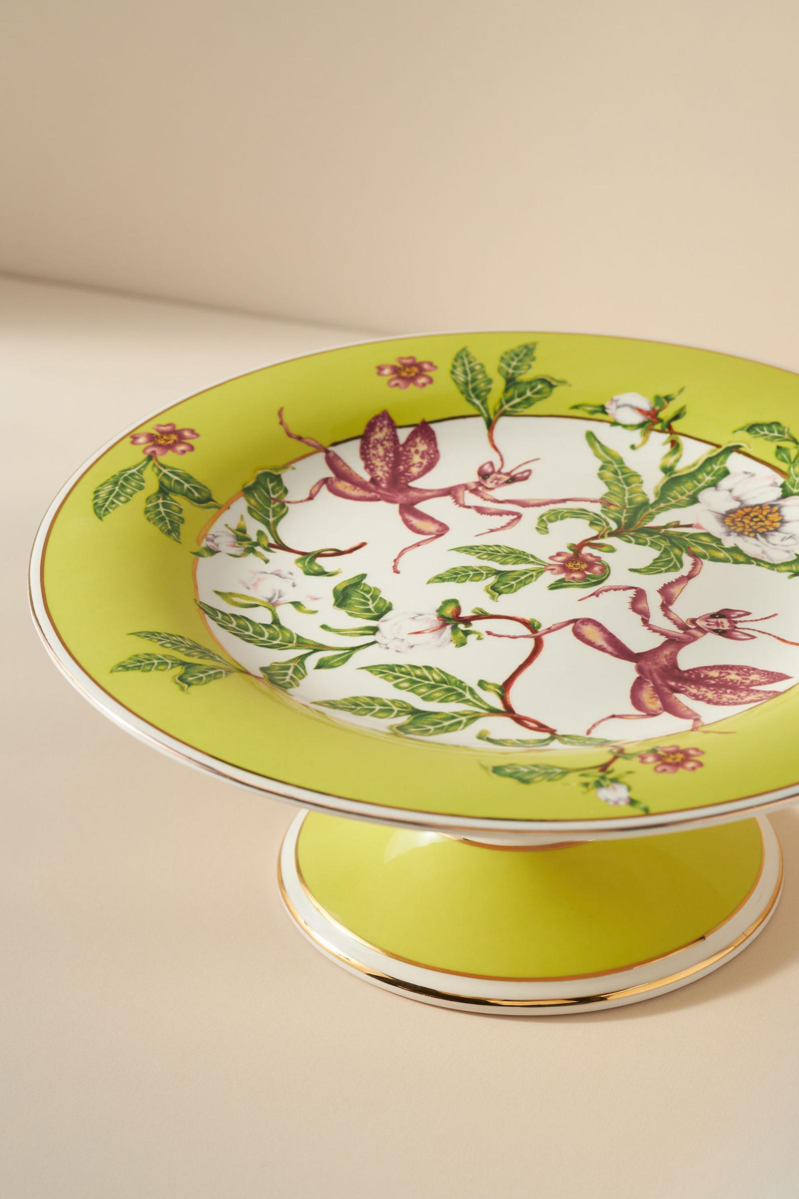 Lou Rota Mother Nature Cake Stand | Anthropologie Mexico - Women's ...
