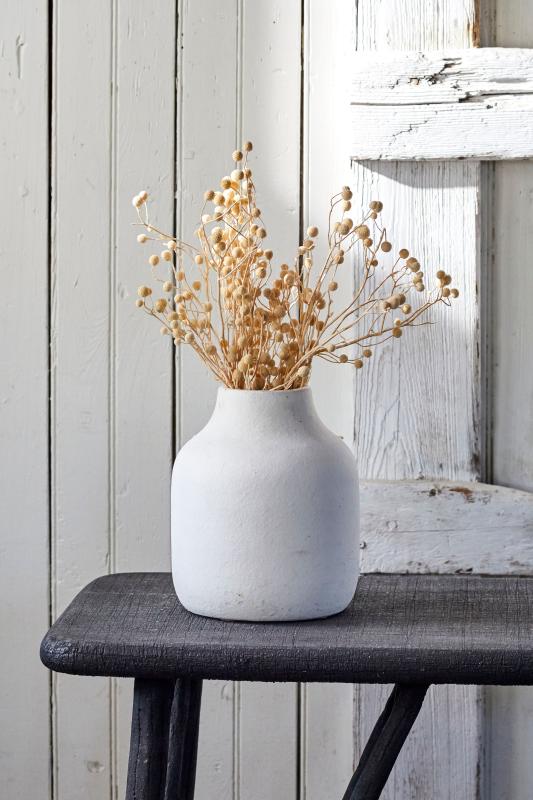 Dried Mini Poppy Bunch | Anthropologie ホーム