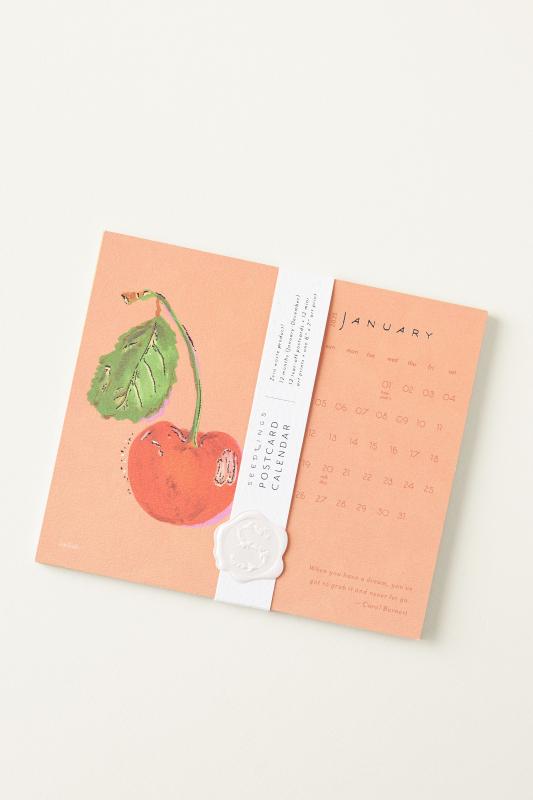 묘목 2025 엽서 달력 앤트로폴로지 한국 공식 스토어 유니크한 여성 패션 및 라이프스타일 편집샵 200개이상의 프리미엄 브랜드 여성 의류 액세서리 홈 인테리어