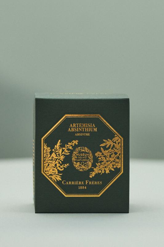 Women's Clothing Store Robina at Stacy Fye blog