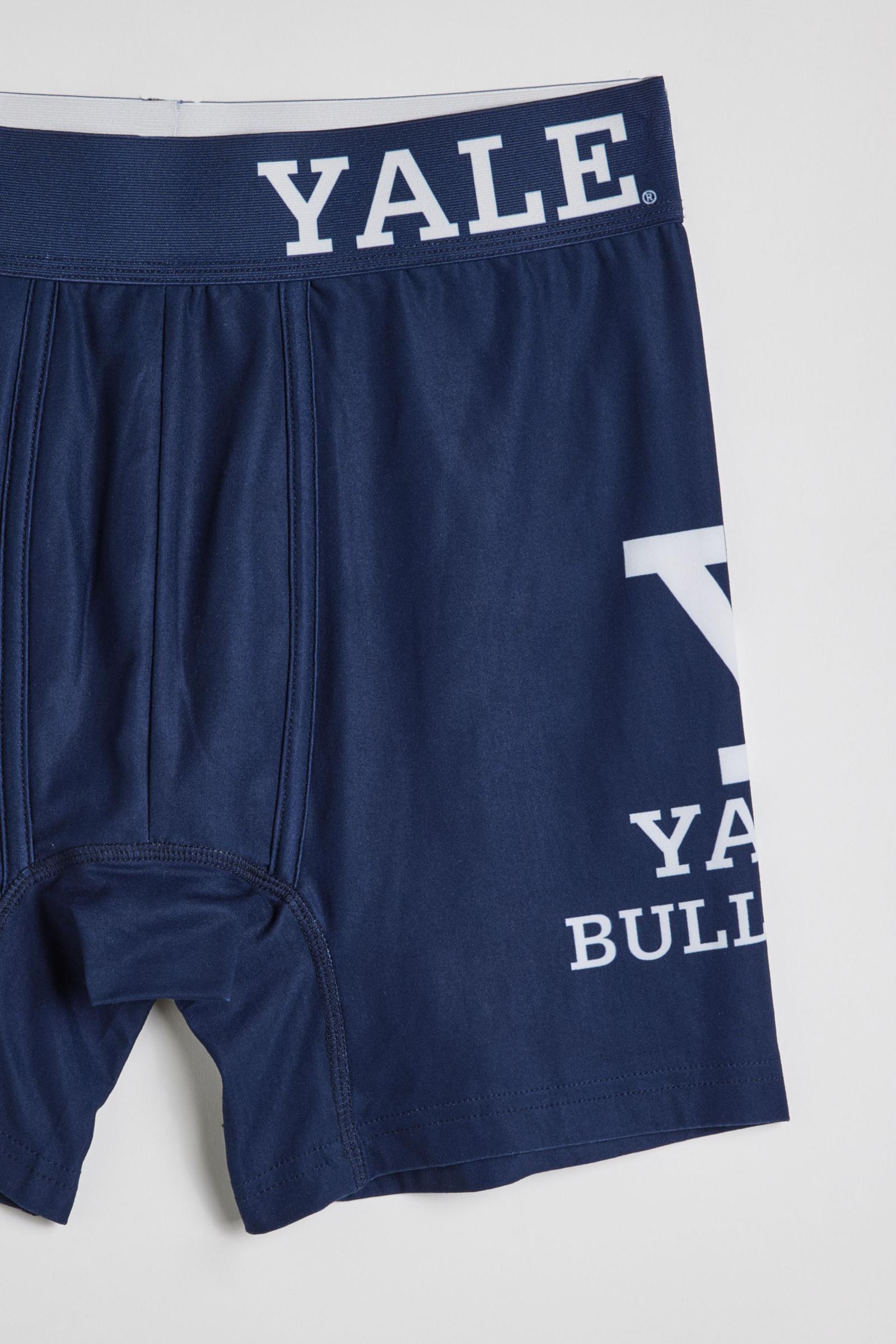 Concepts Sport Yale University Boxer Brief | Urban Outfitters Mexico ...