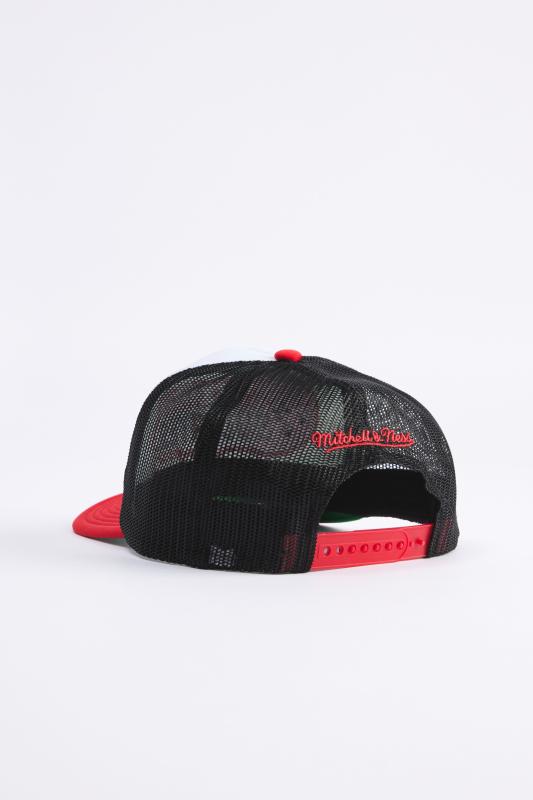 Gorra Mitchell & Ness NCAA Ohio State Globe Trucker | Urban Outfitters ...