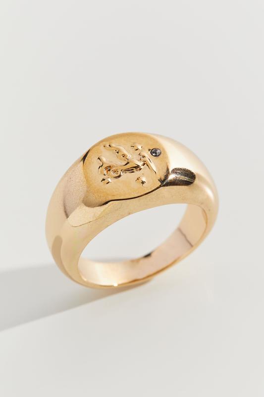 Zodiac Signet Ring | Urban Outfitters Japan - Clothing, Music, Home ...