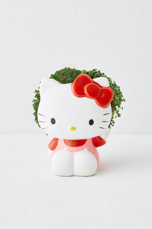 Hello Kitty Chia Pet Decorative Planter | Urban Outfitters Korea ...
