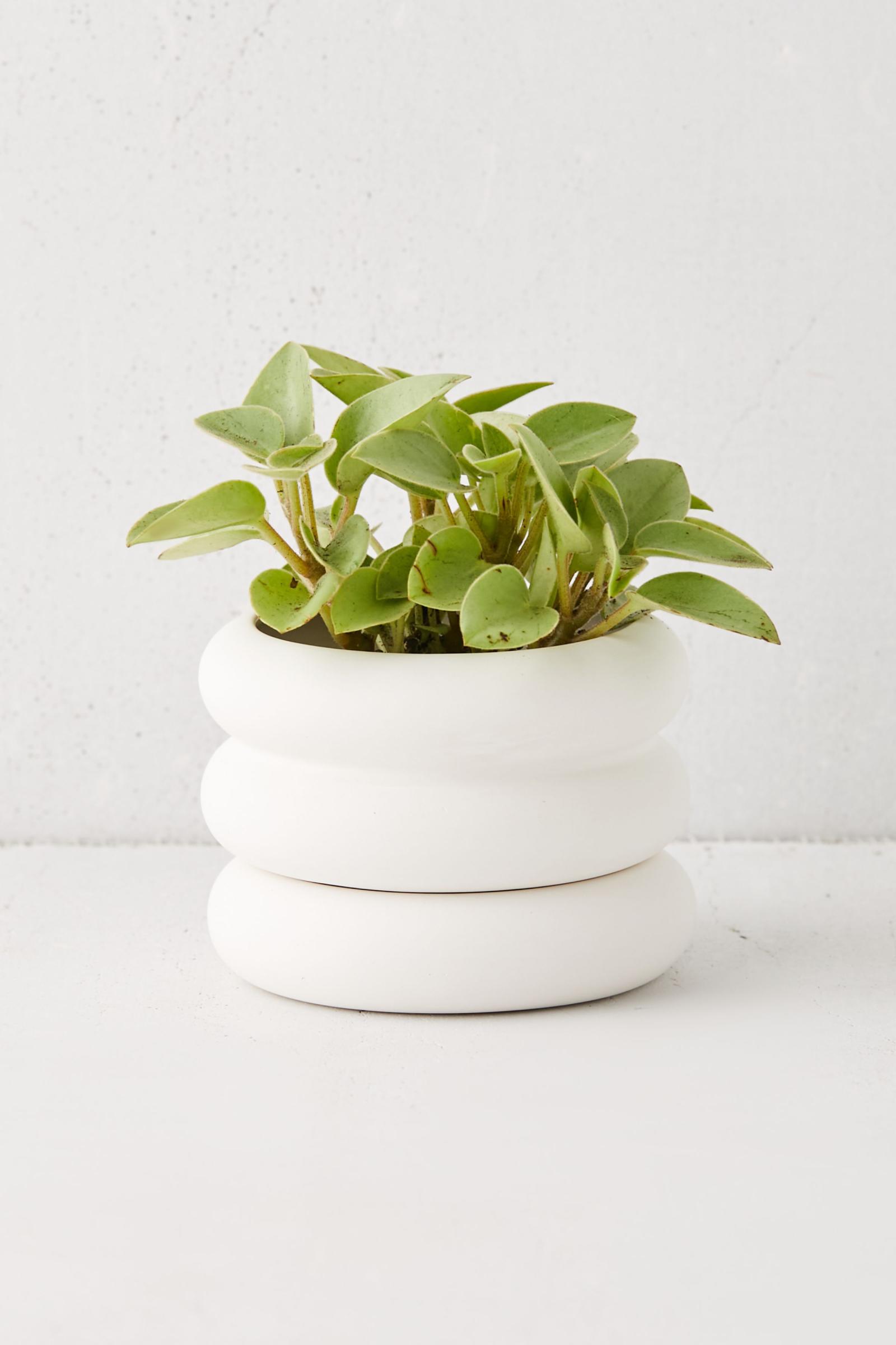 Areaware Mini Stacking Planter | Urban Outfitters Australia - Clothing, Music, Home & Accessories
