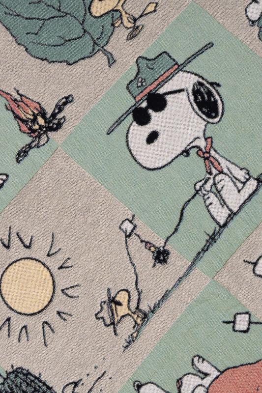 Parks Project X Peanuts Throw Blanket | Urban Outfitters Taiwan ...