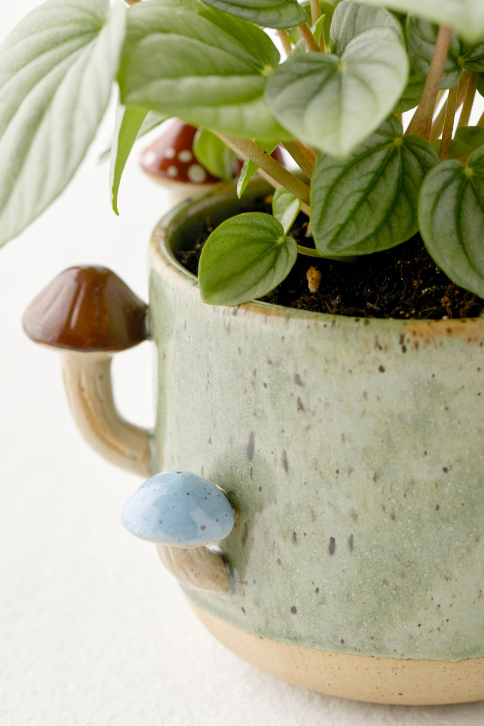 Sprouting Mushroom Ceramic Planter | Urban Outfitters Australia ...