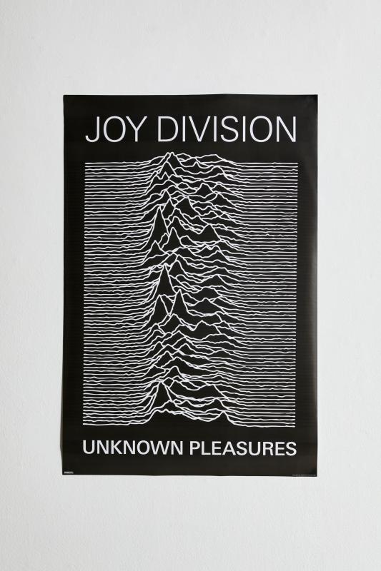 Joy Division Unknown Pleasures Poster | Urban Outfitters Australia ...