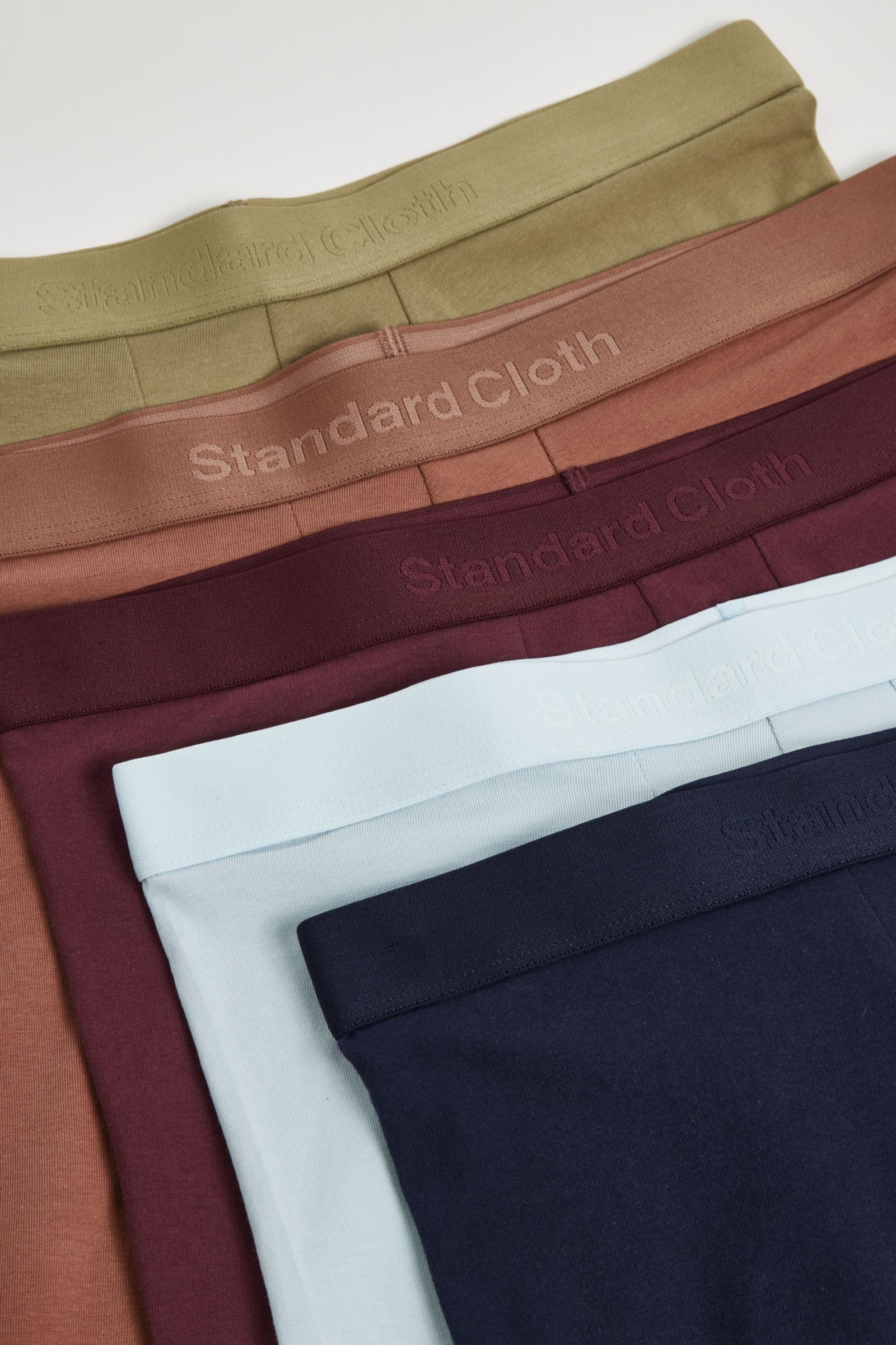 Standard Cloth Cotton Boxer Brief 5-Pack | Urban Outfitters Japan ...