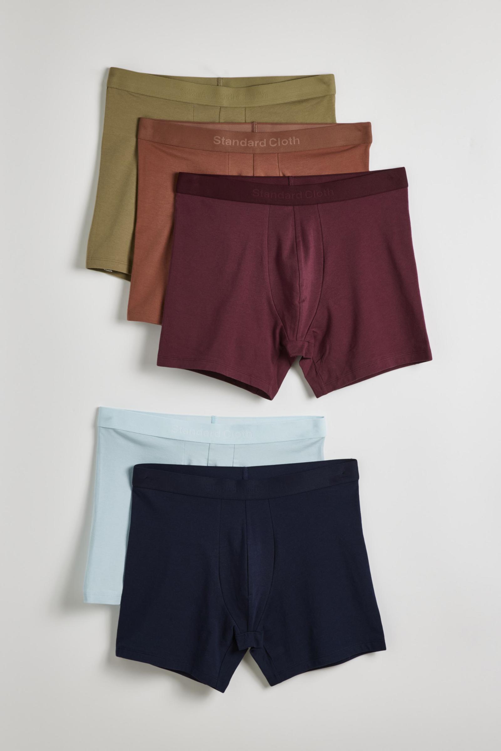 Standard Cloth Cotton Boxer Brief 5-Pack | Urban Outfitters Japan ...